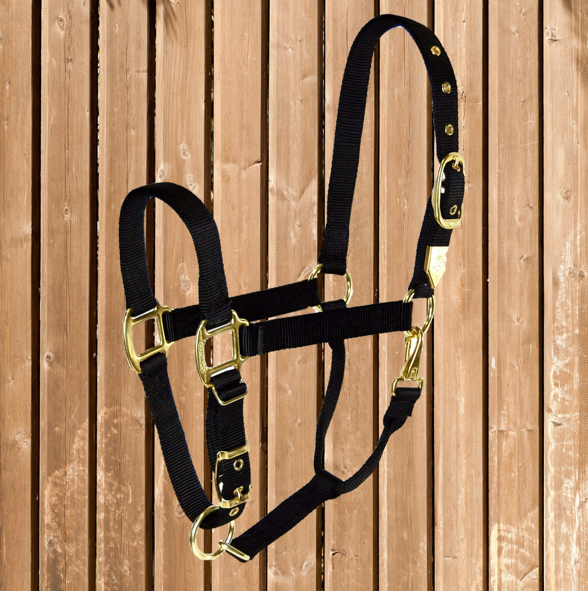 Hamilton Halfter "Quality" mit Snap, berry blue, Fairvalley Reitsport XXL