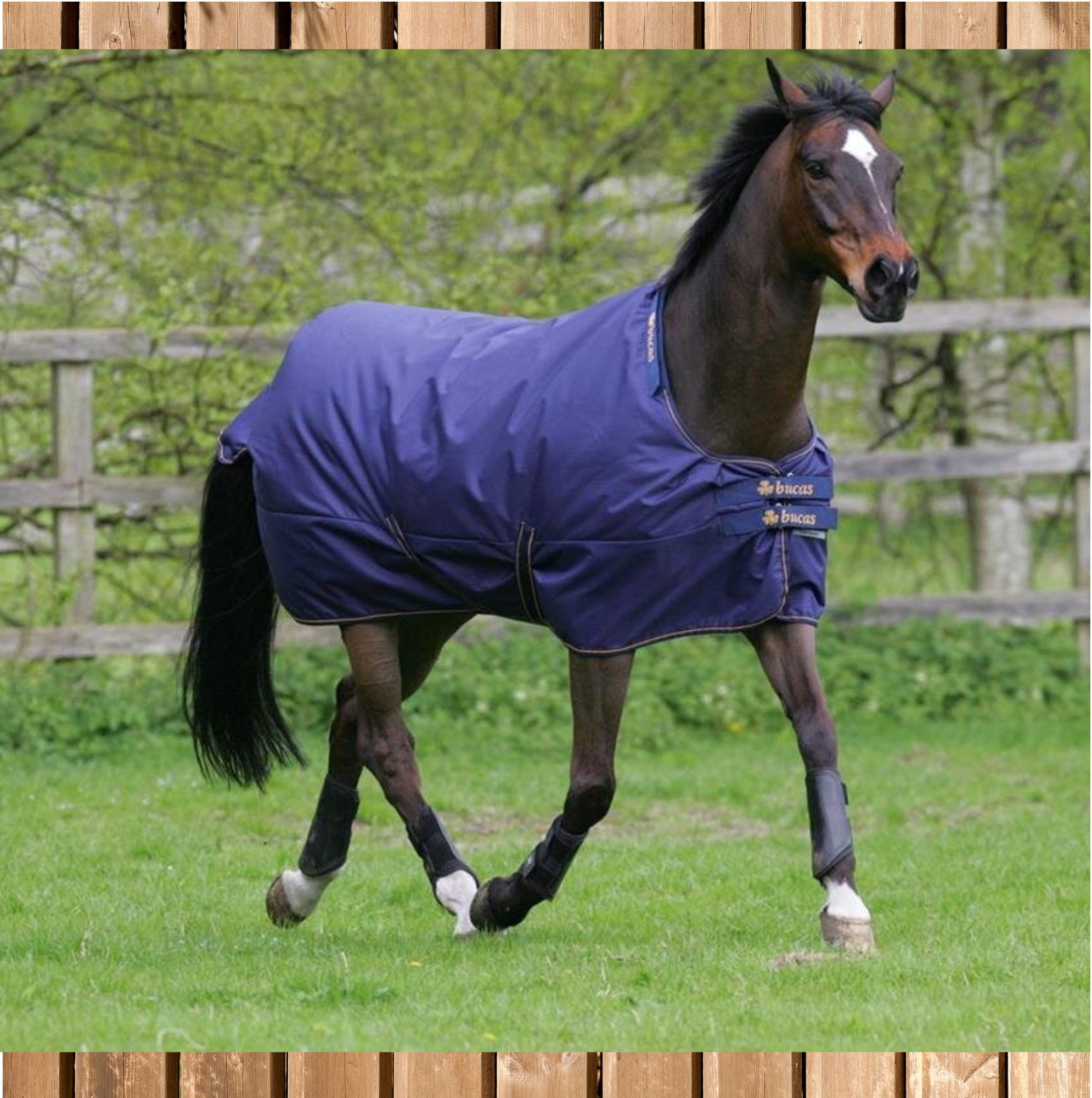 Bucas Irish Turnout light 0g, navy-gold, Fairvalley Reitsport XXL